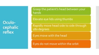 Brainstem death | PPTX