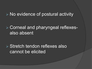 Brain stem death | PPTX