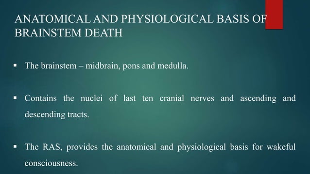 Brainstem Death And Its Medico Legal Perspectives | PPTX