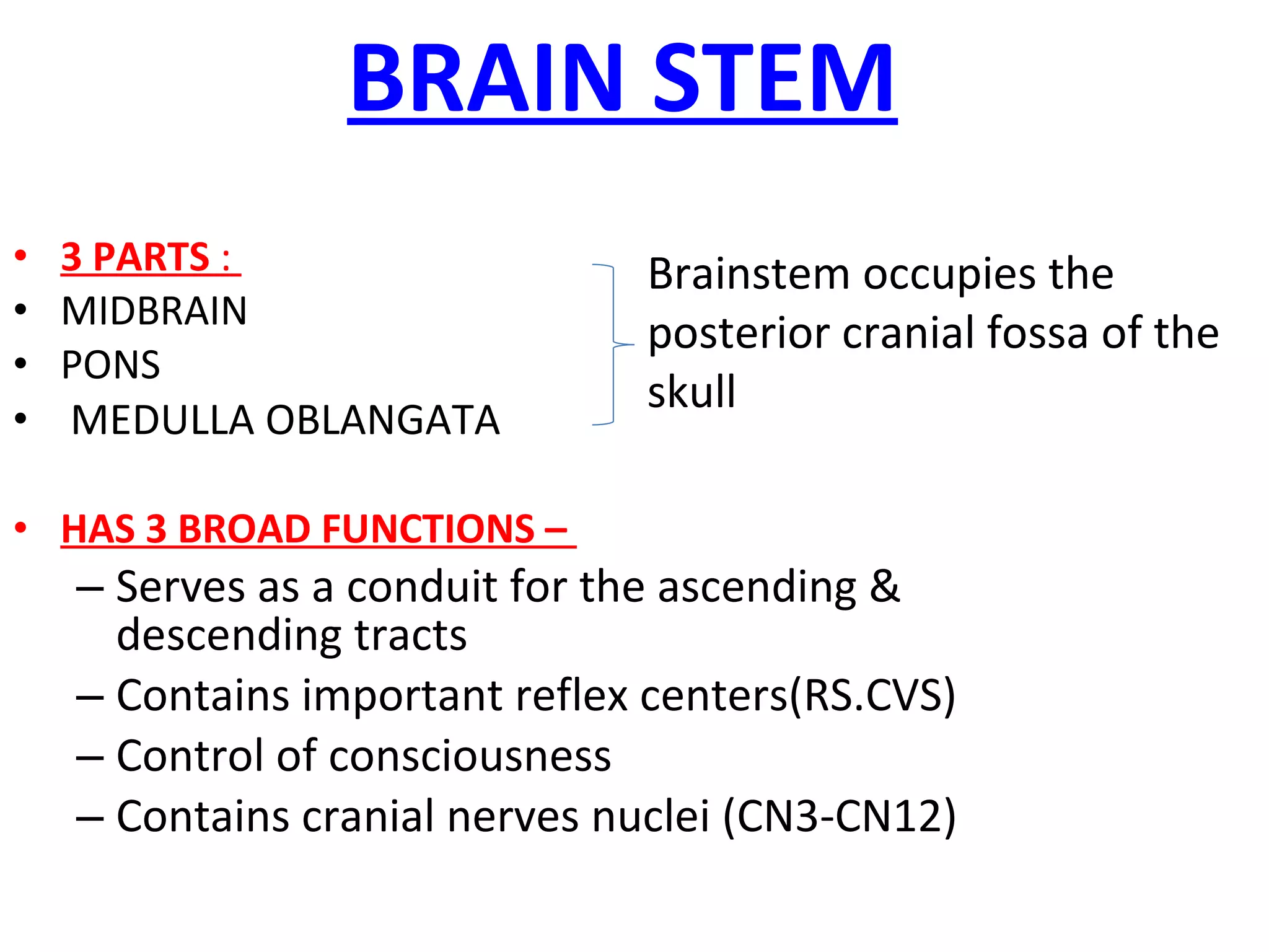 Brainstem demo neww | POT