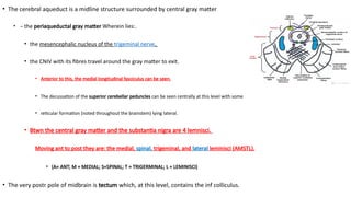 brainstem _ emphasis on Longitudinal fibres-1.pptx