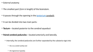 brainstem _ emphasis on Longitudinal fibres-1.pptx