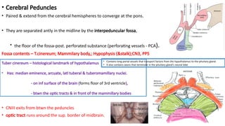 brainstem _ emphasis on Longitudinal fibres-1.pptx