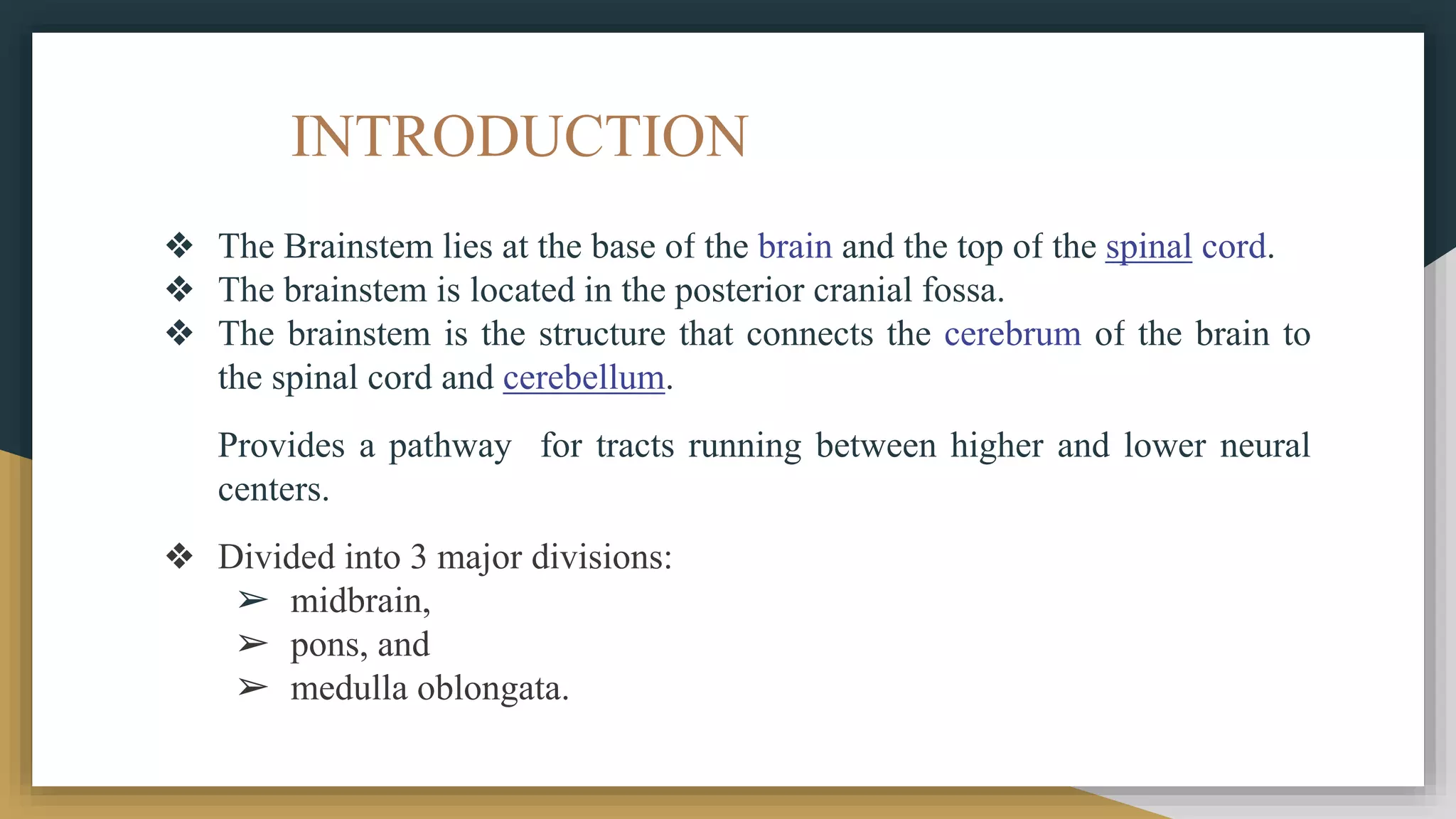 NEUROANATOMY OF BRAINSTEM | PPTX