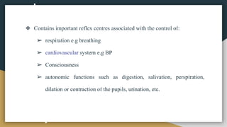 NEUROANATOMY OF BRAINSTEM | PPTX