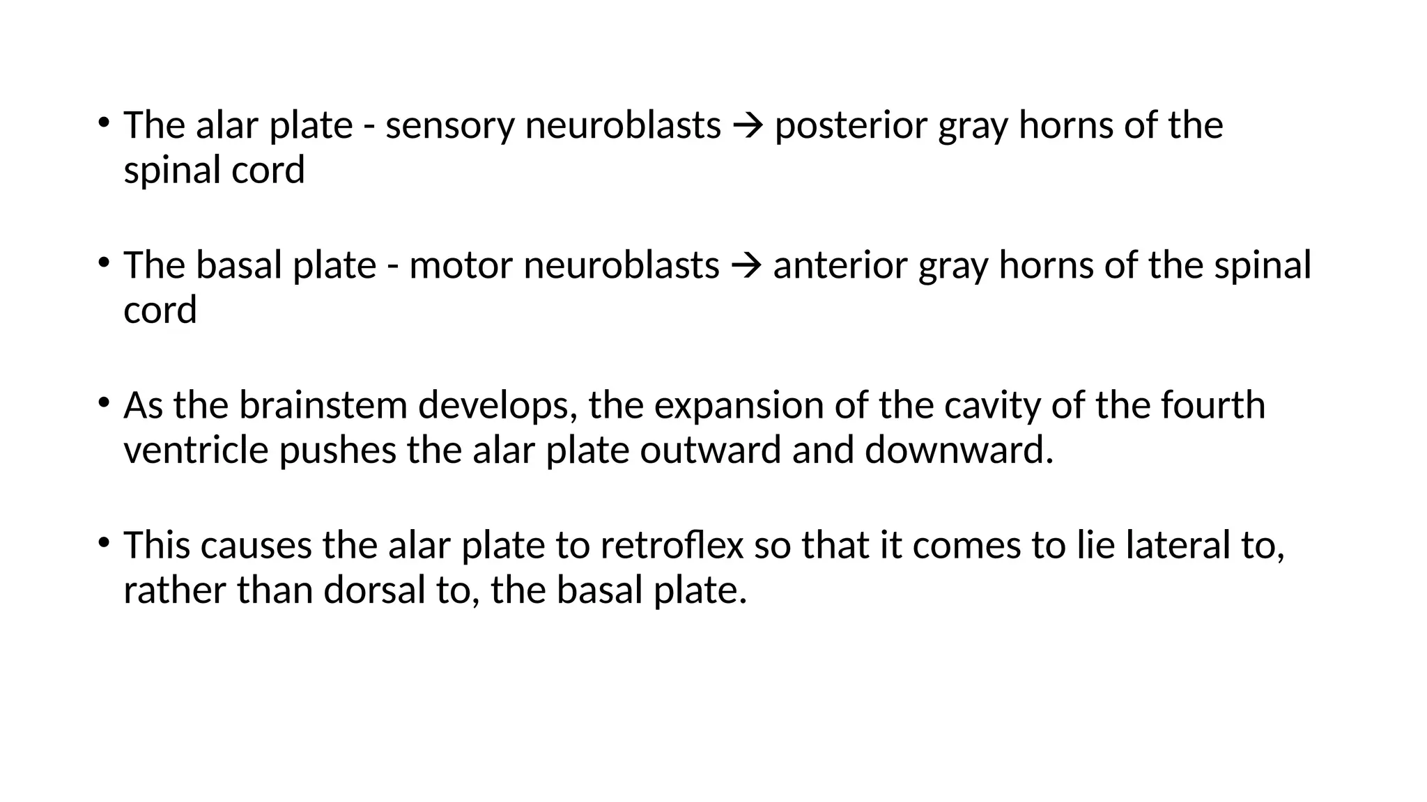 Brainstem & its disorders in neurosurgery.pptx