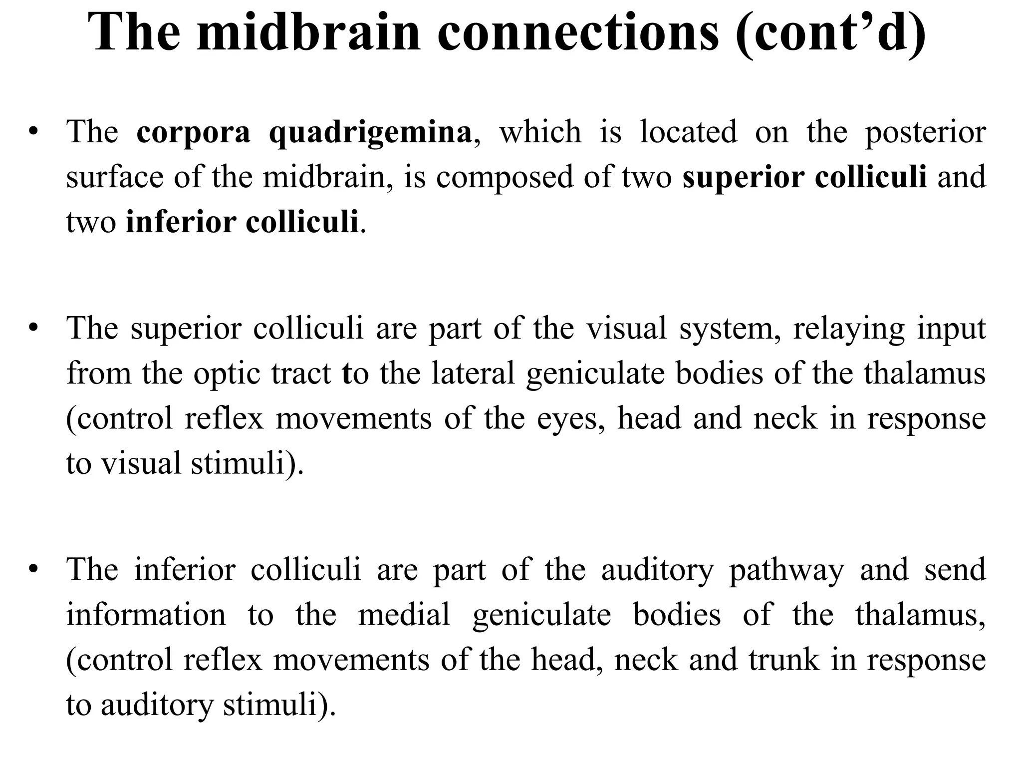 Brain stem lecture @mbbs.pptx