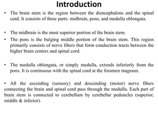 Brain stem lecture @mbbs.pptx