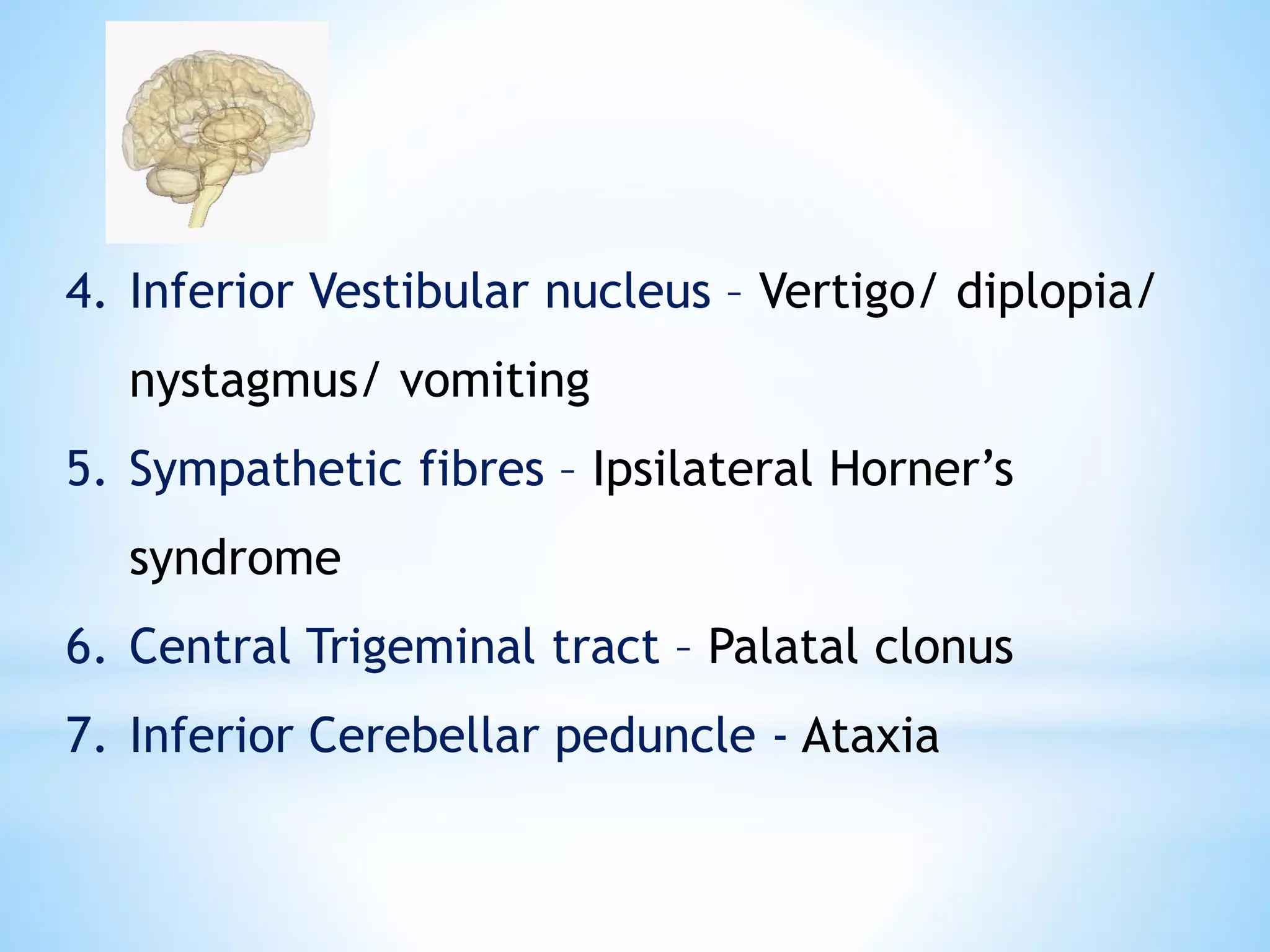 Brain stem Lesions | PPTX