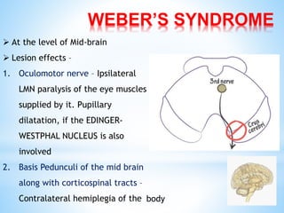 Brain stem Lesions | PPTX
