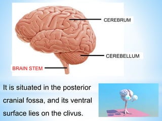 Brain stem Lesions | PPTX