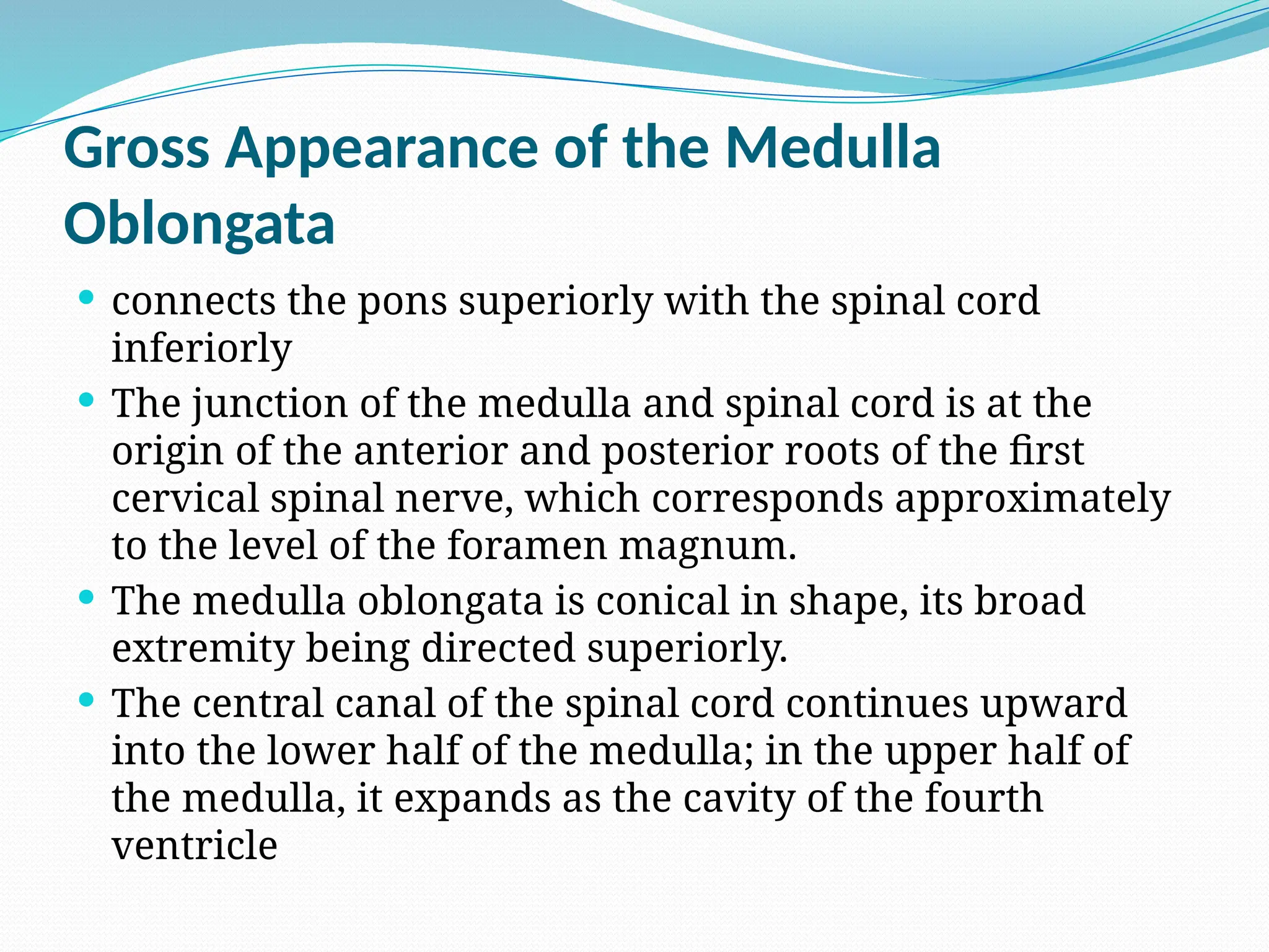 brainstem,medulla.pptx...................... | PPTX