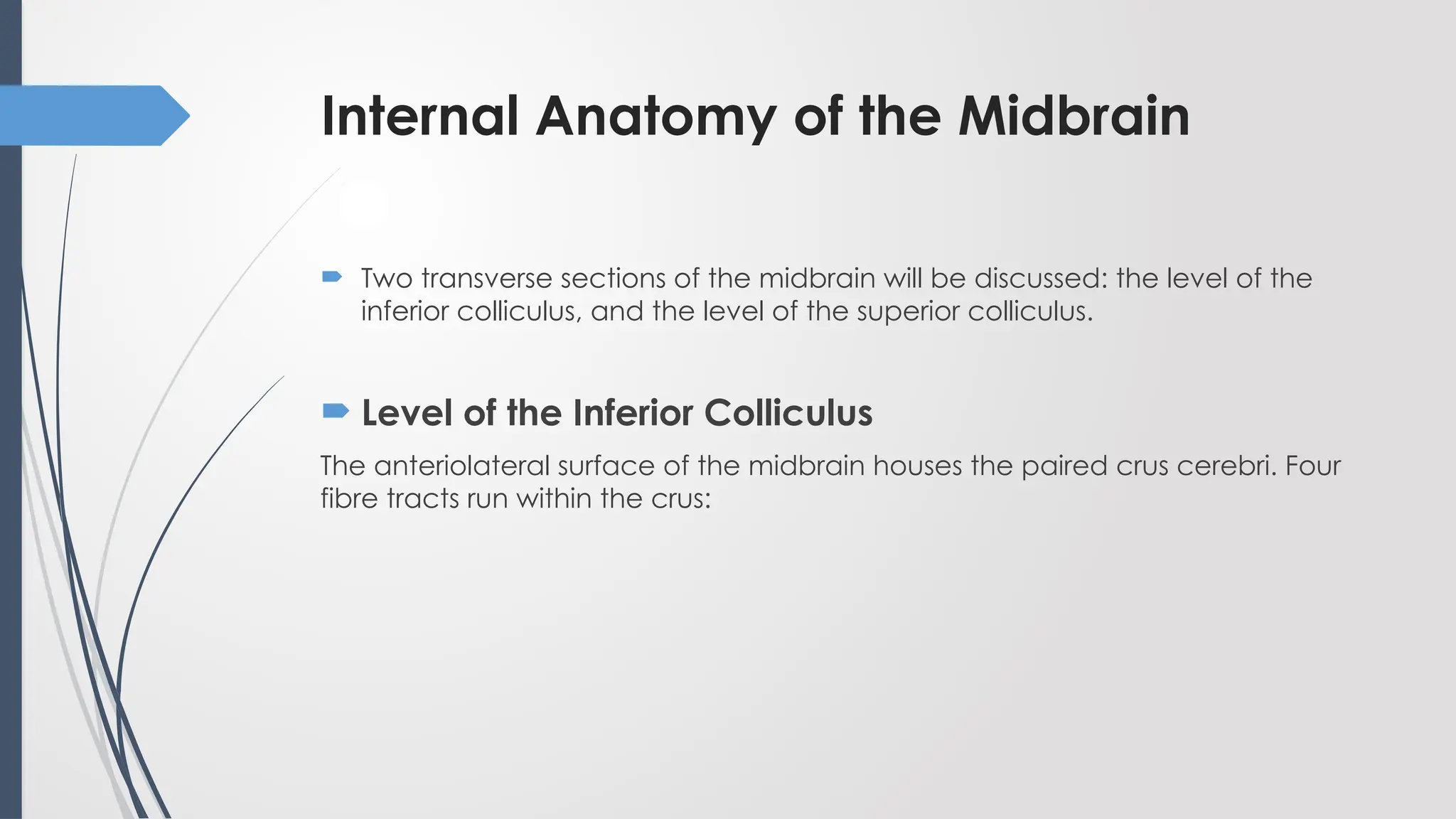 BRAIN STEM/ pions/medulla oblongata/midbrain | PPTX
