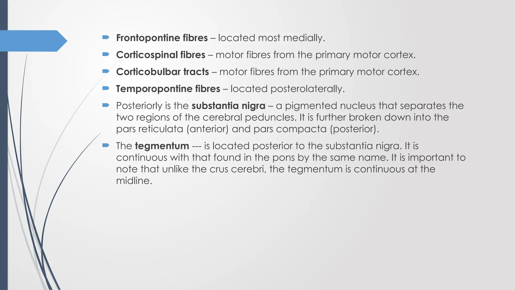 BRAIN STEM/ pions/medulla oblongata/midbrain | PPTX
