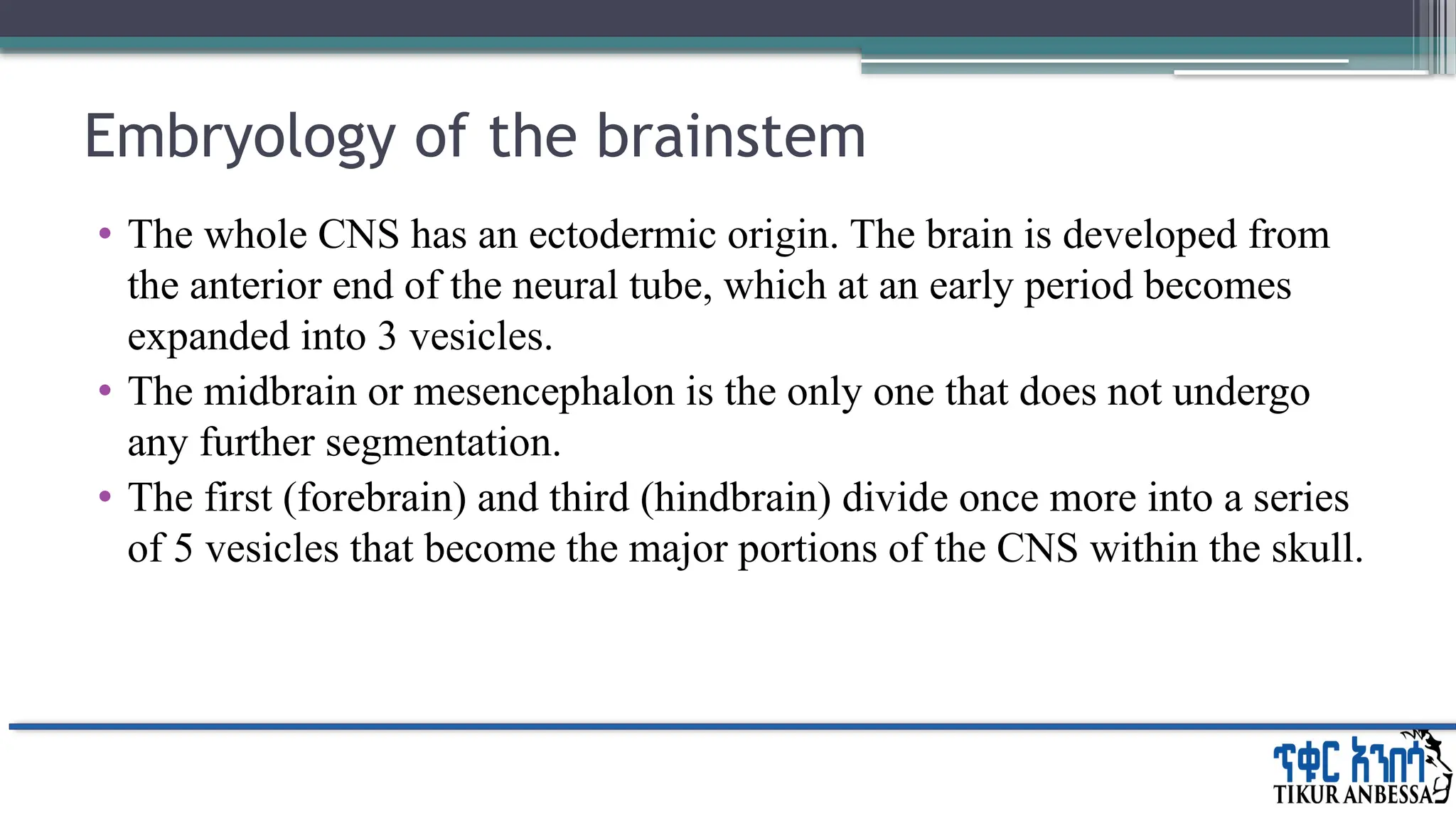 Neuroanatomy and neurolocalization of brain stem .pptx