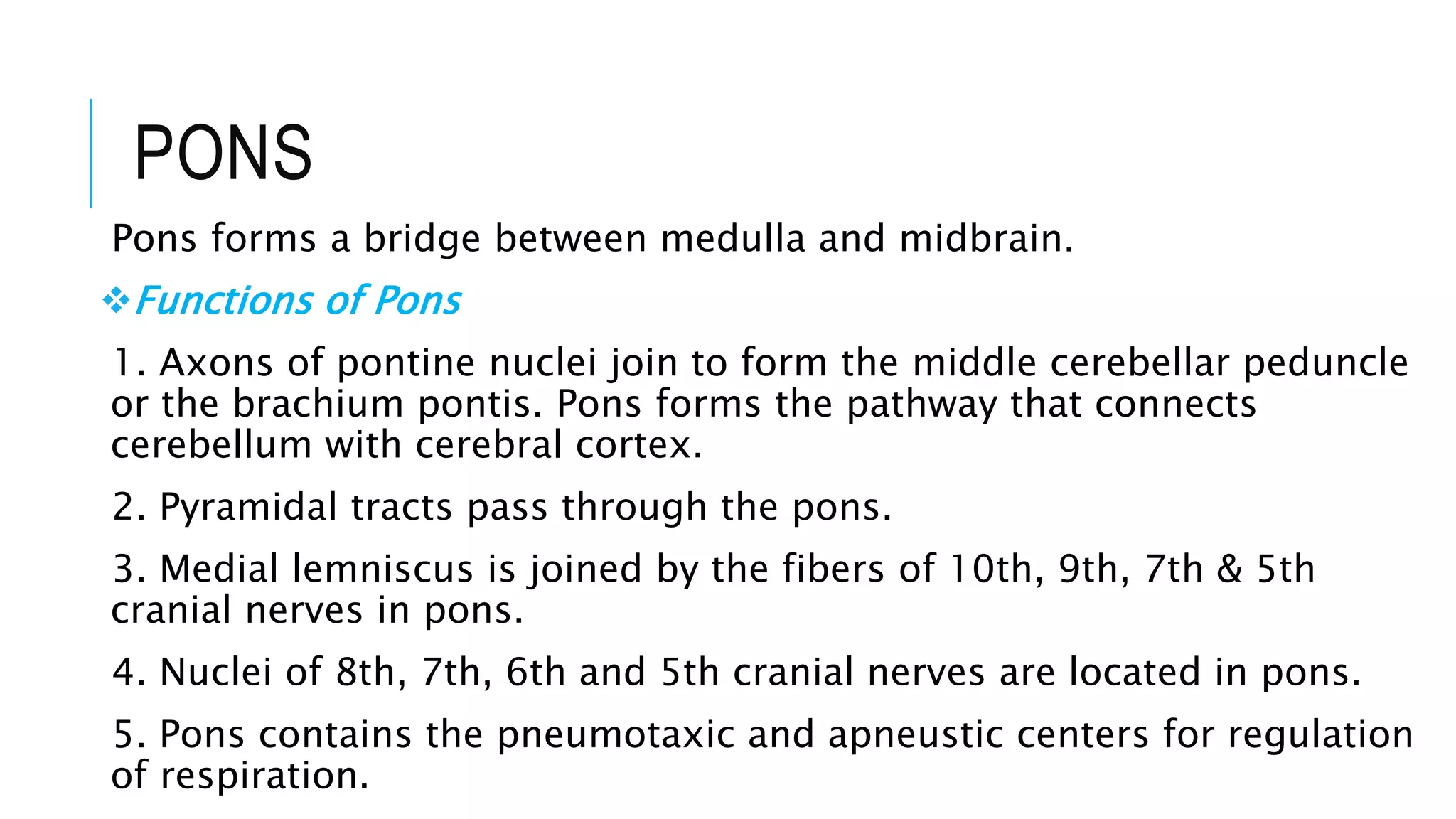 Brainstem Physiology | PPTX
