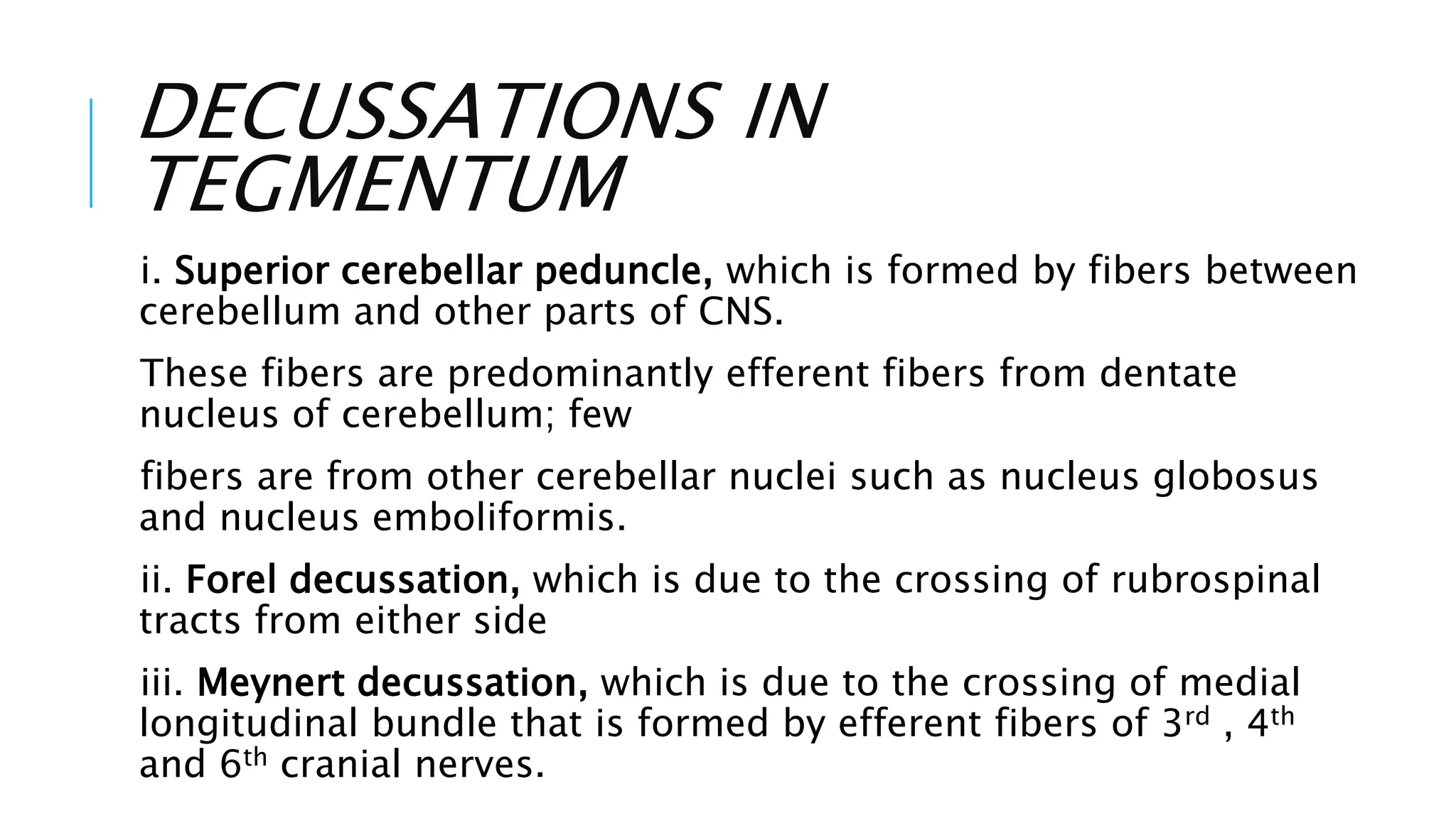 Brainstem Physiology | PPTX