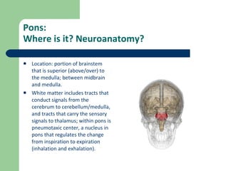 Brain Stem Project | PPT | Hormonal Disorders | Endocrine and Metabolic ...