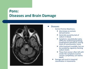 Brain Stem Project | PPT | Hormonal Disorders | Endocrine and Metabolic ...