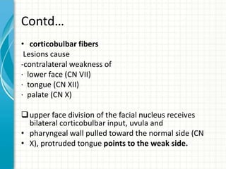 Brainstem stroke syndromes | PPTX