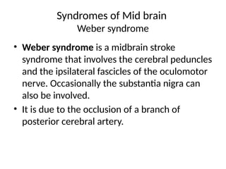 Brain stem syndromes POWER POINT PRESENTATION | PPTX