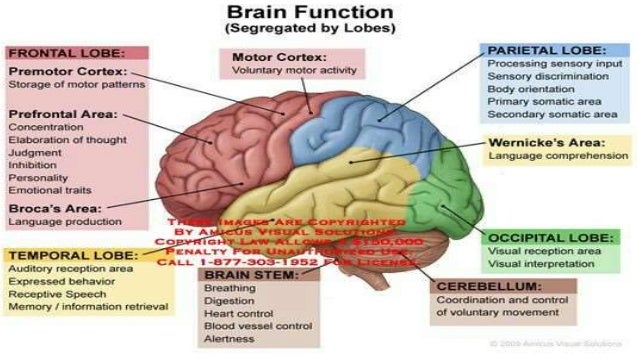 Brain strom