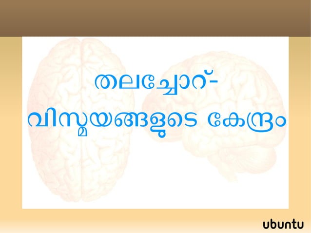 Brain structure | ODP