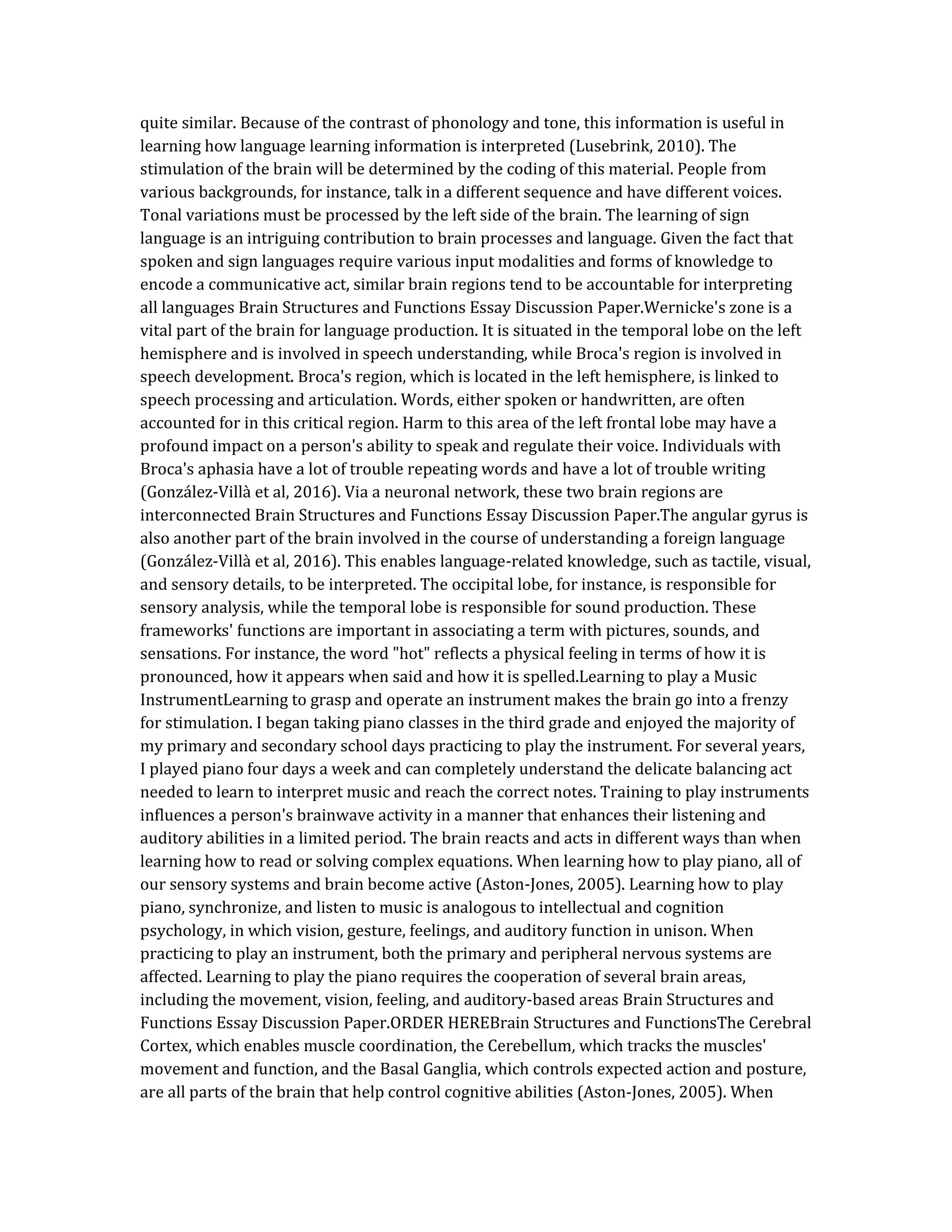 Brain Structures and Functions Essay Discussion Paper.docx