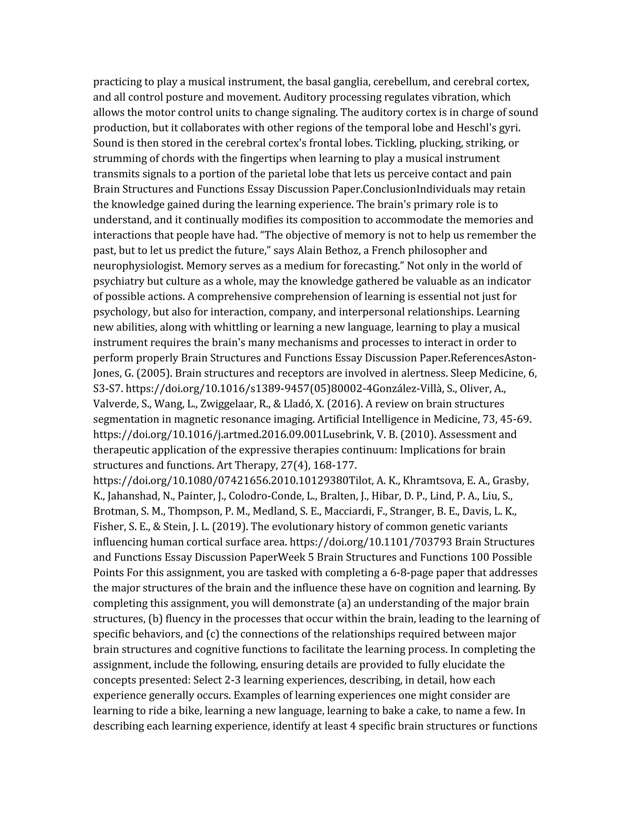 Brain Structures and Functions Essay Discussion Paper.docx