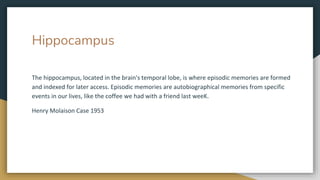 Brain Structures involved in Memory.pptx | Brain and Nervous System ...