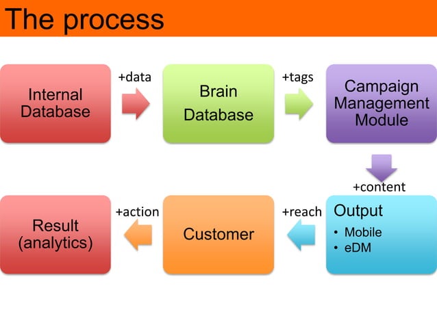 Brain summary | PPT | Free Download