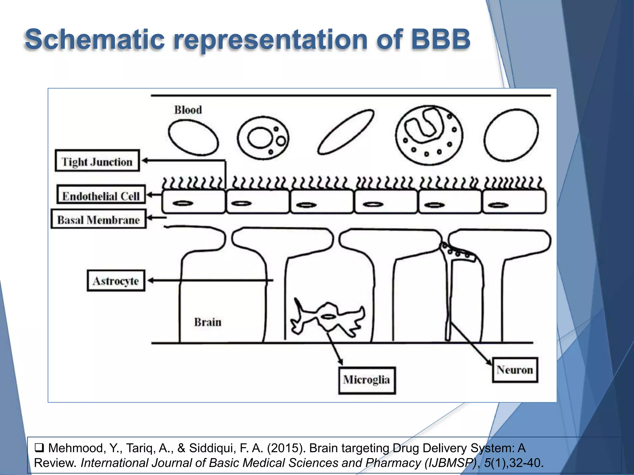 Brain Targeted Drug Delivery | PPTX