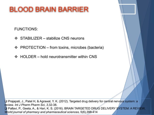 Brain Targeted Drug Delivery | PPTX