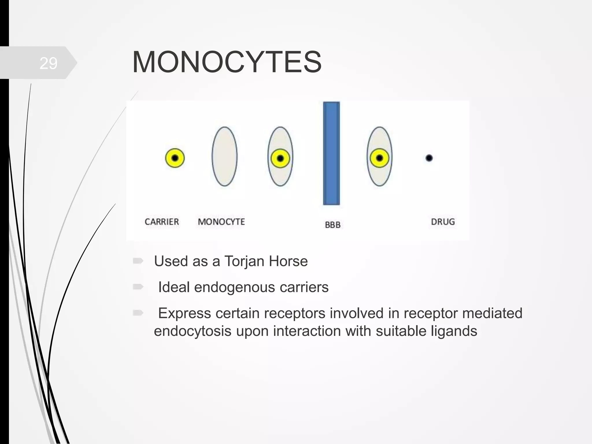 Brain targeted drug delivery | PPTX