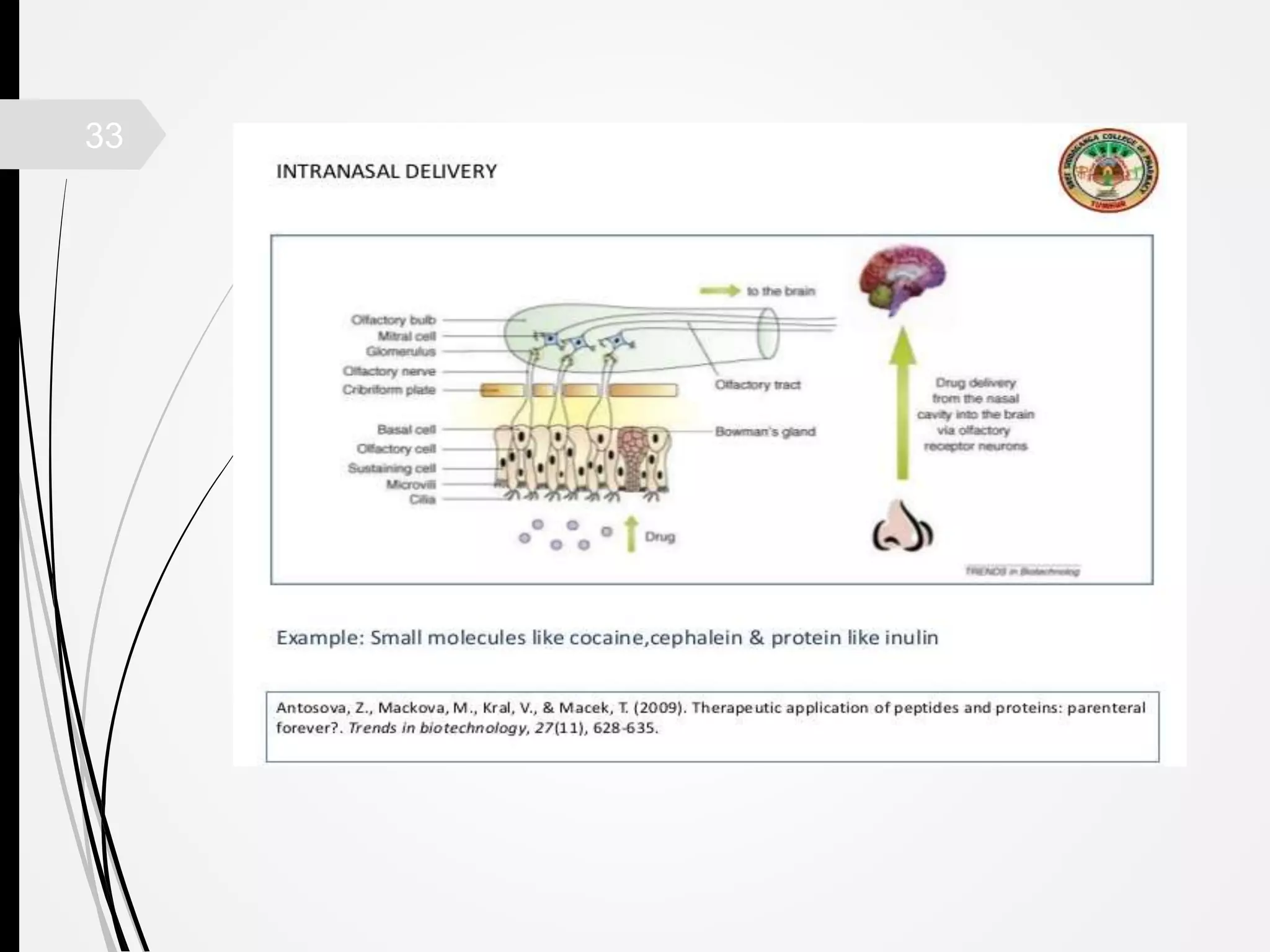 Brain targeted drug delivery | PPTX