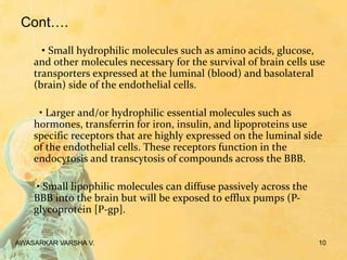 Brain targeted drug delivery system | PPTX