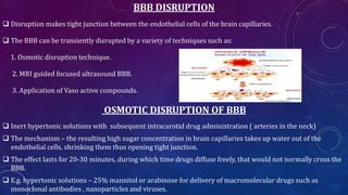 Brain targeted drug delivery system seminar.pptx