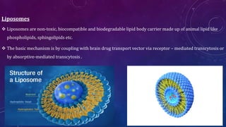 Brain targeted drug delivery system seminar.pptx