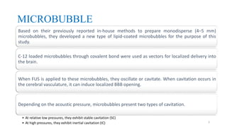 Lipid microbubbles as a vehicle for targeted drug delivery using ...