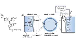 Lipid microbubbles as a vehicle for targeted drug delivery using ...