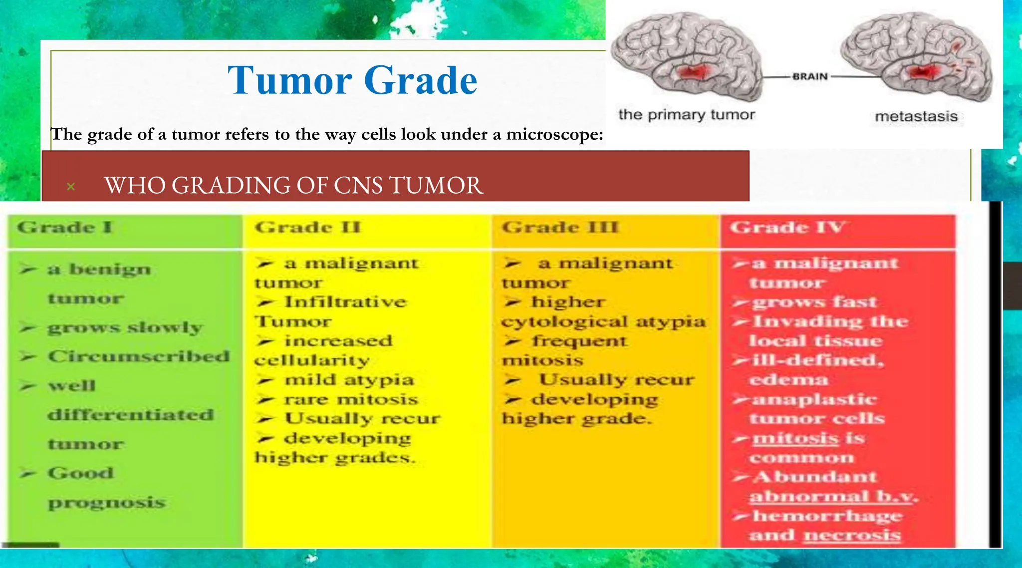 Brain tumour (Central Nervous System Tumour).pptx