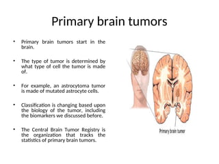 neural network for brain tumor diseases detection | PPT