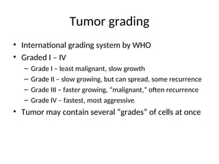 neural network for brain tumor diseases detection | PPT
