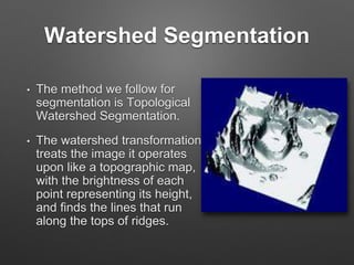 Brain tumor detection | PPTX