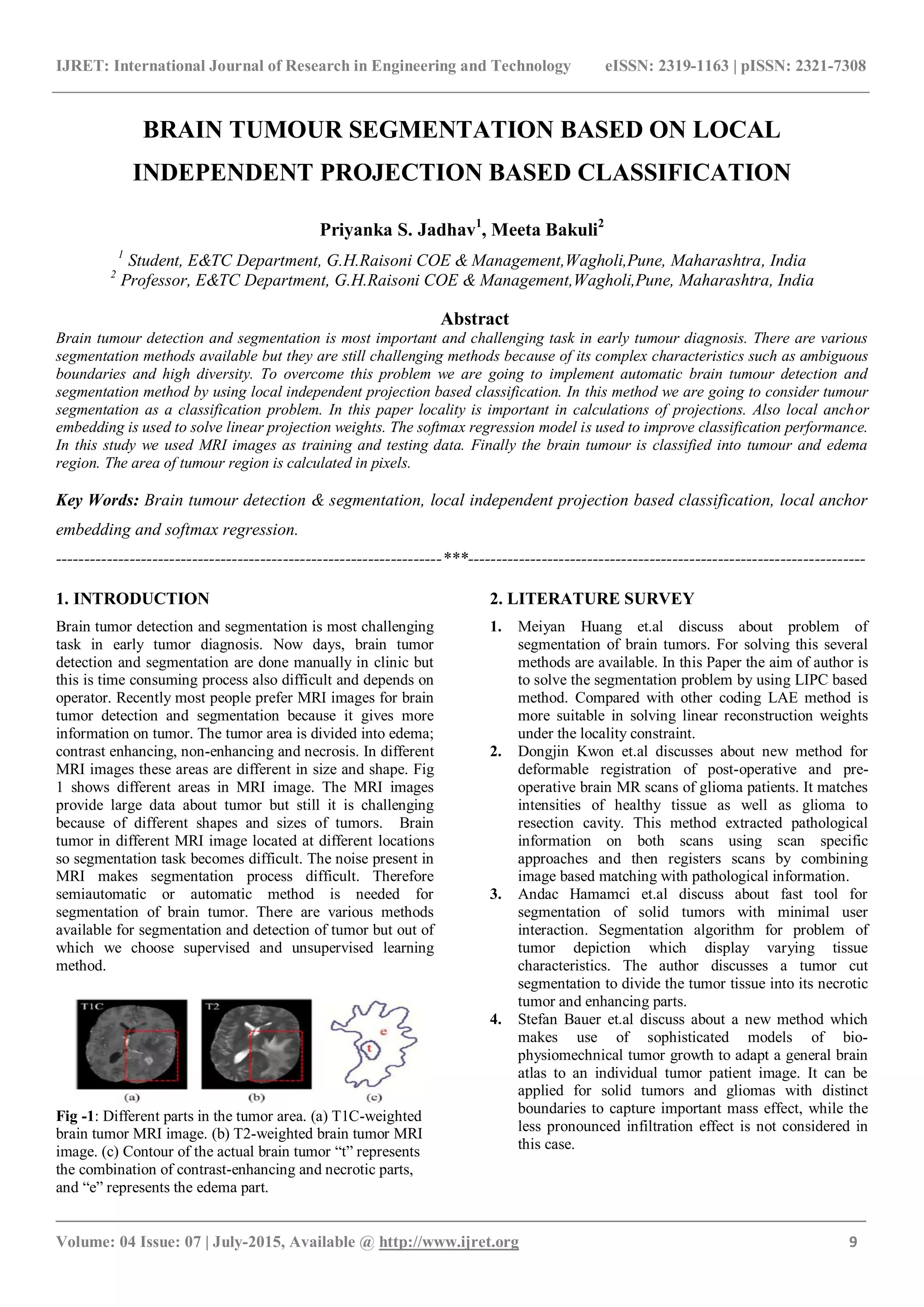 Brain Tumour Segmentation Based On Local Independent Projection Based