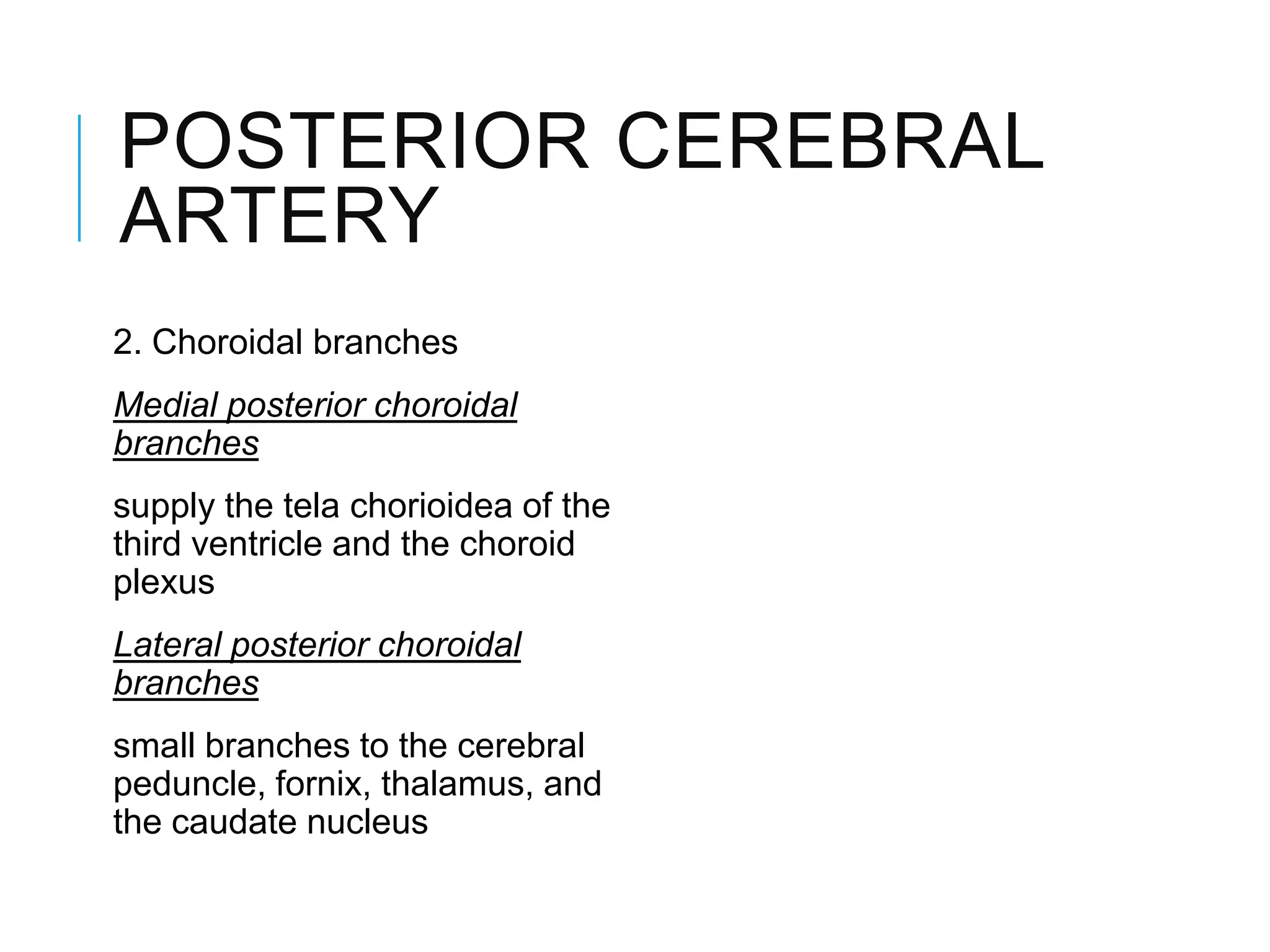 Brain vascular anatomy with MRA and MRI correlation | PPTX