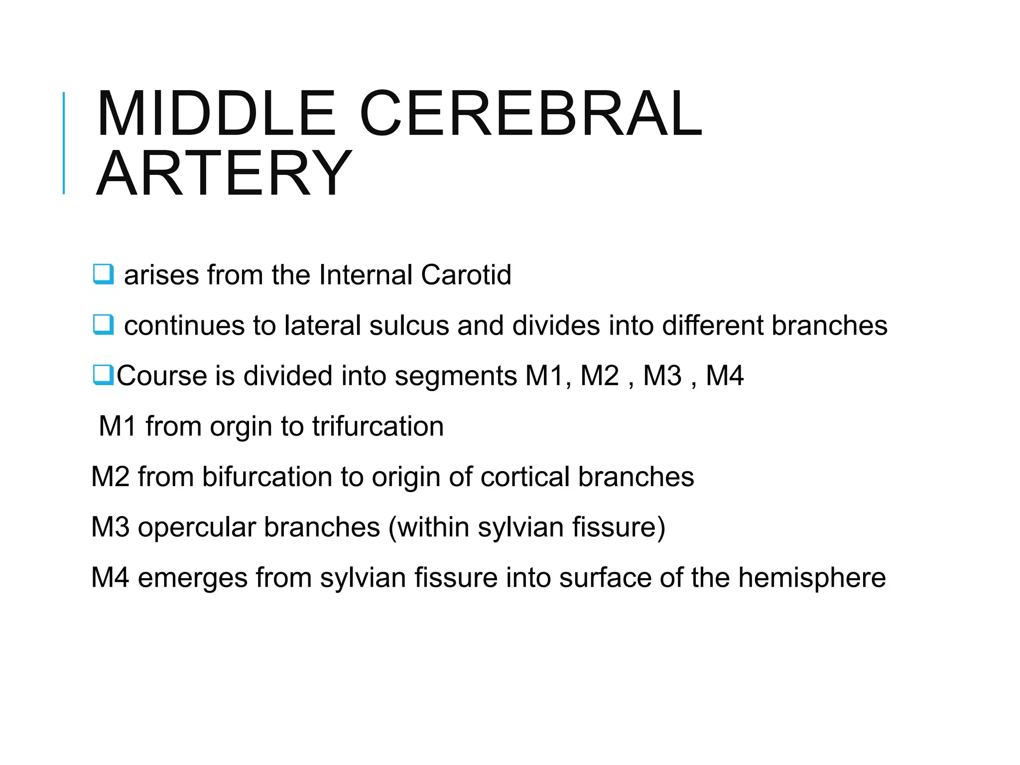 Brain vascular anatomy with MRA and MRI correlation | PPTX