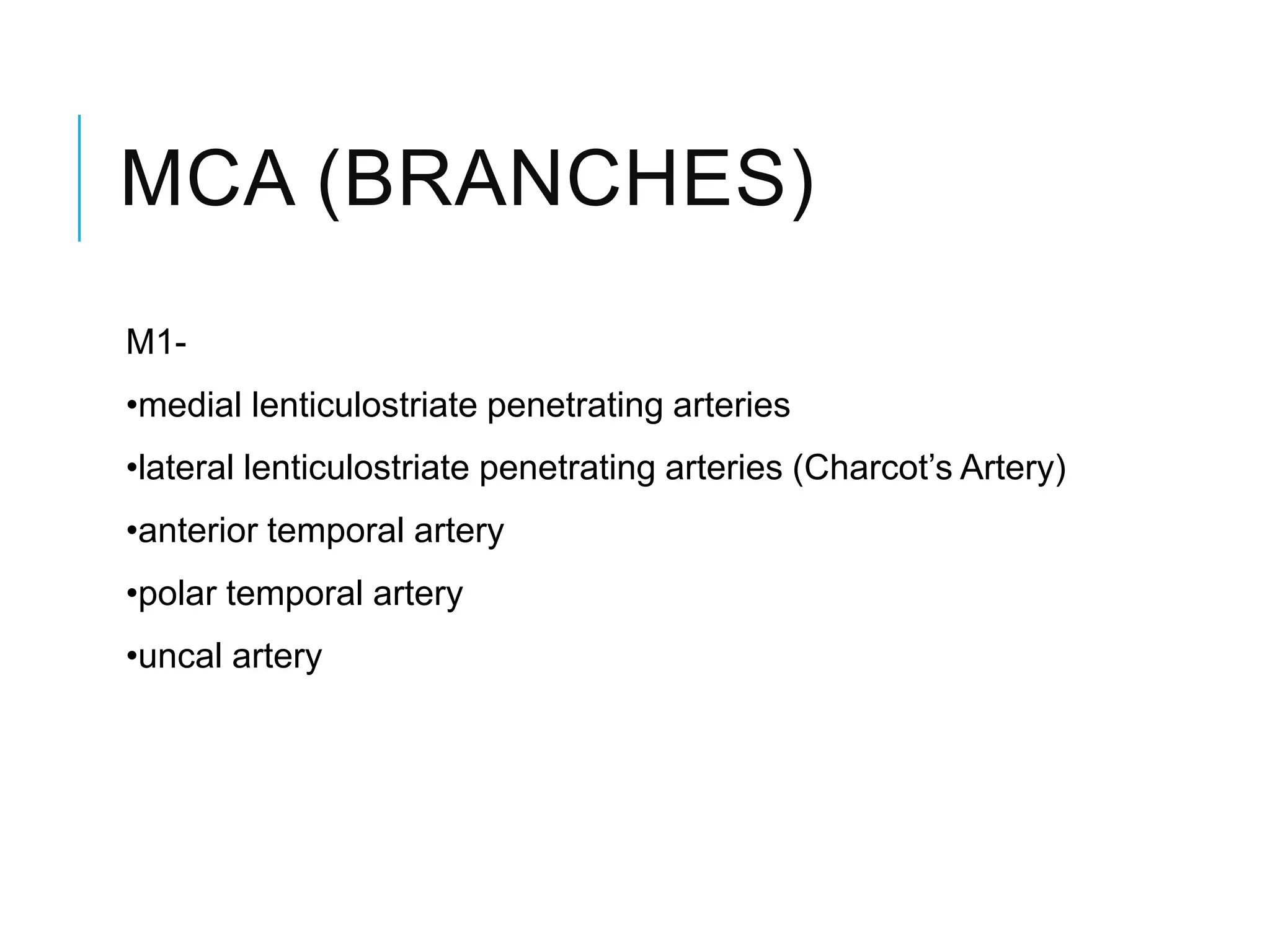 Brain vascular anatomy with MRA and MRI correlation | PPTX