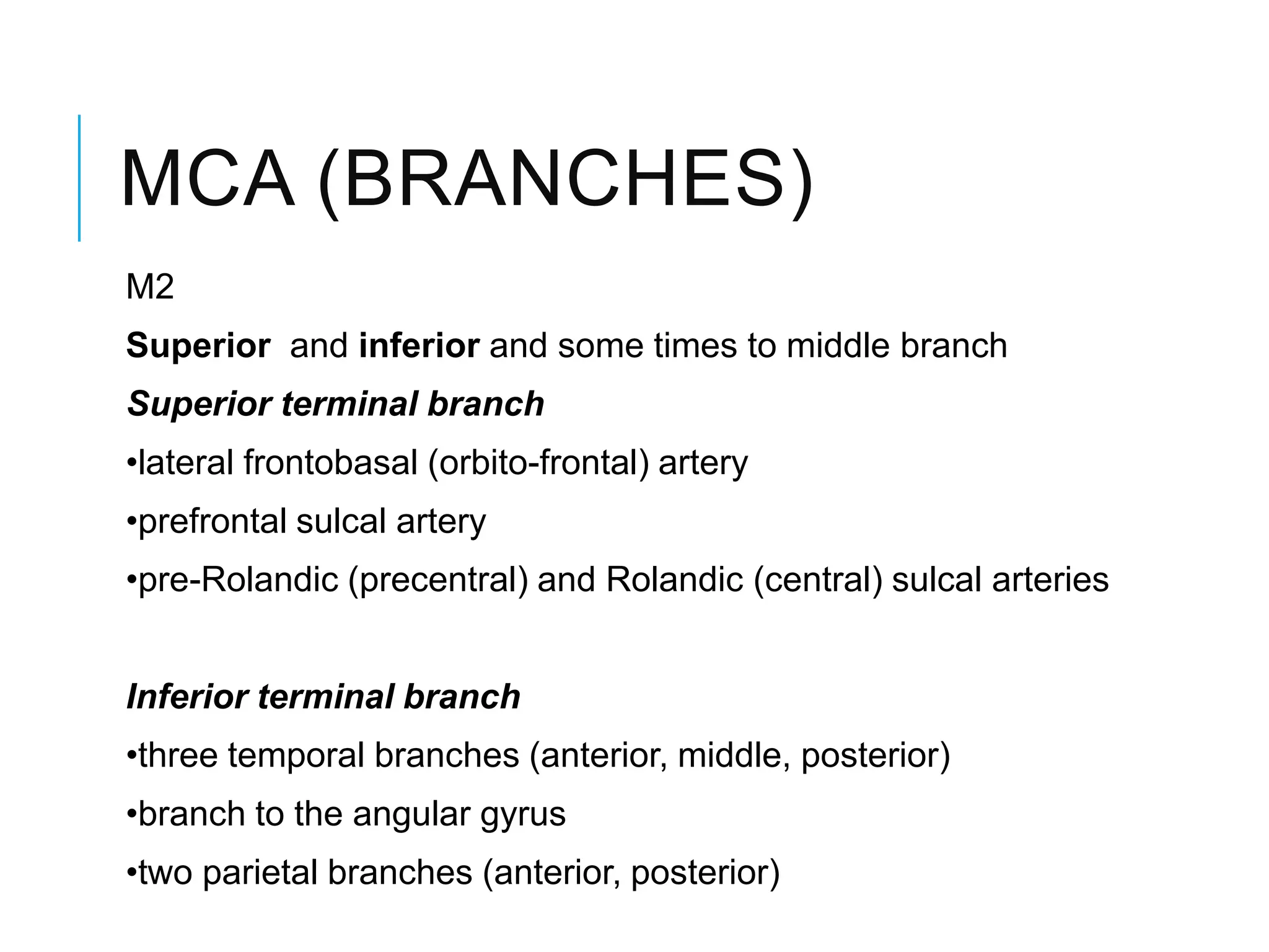Brain vascular anatomy with MRA and MRI correlation | PPTX