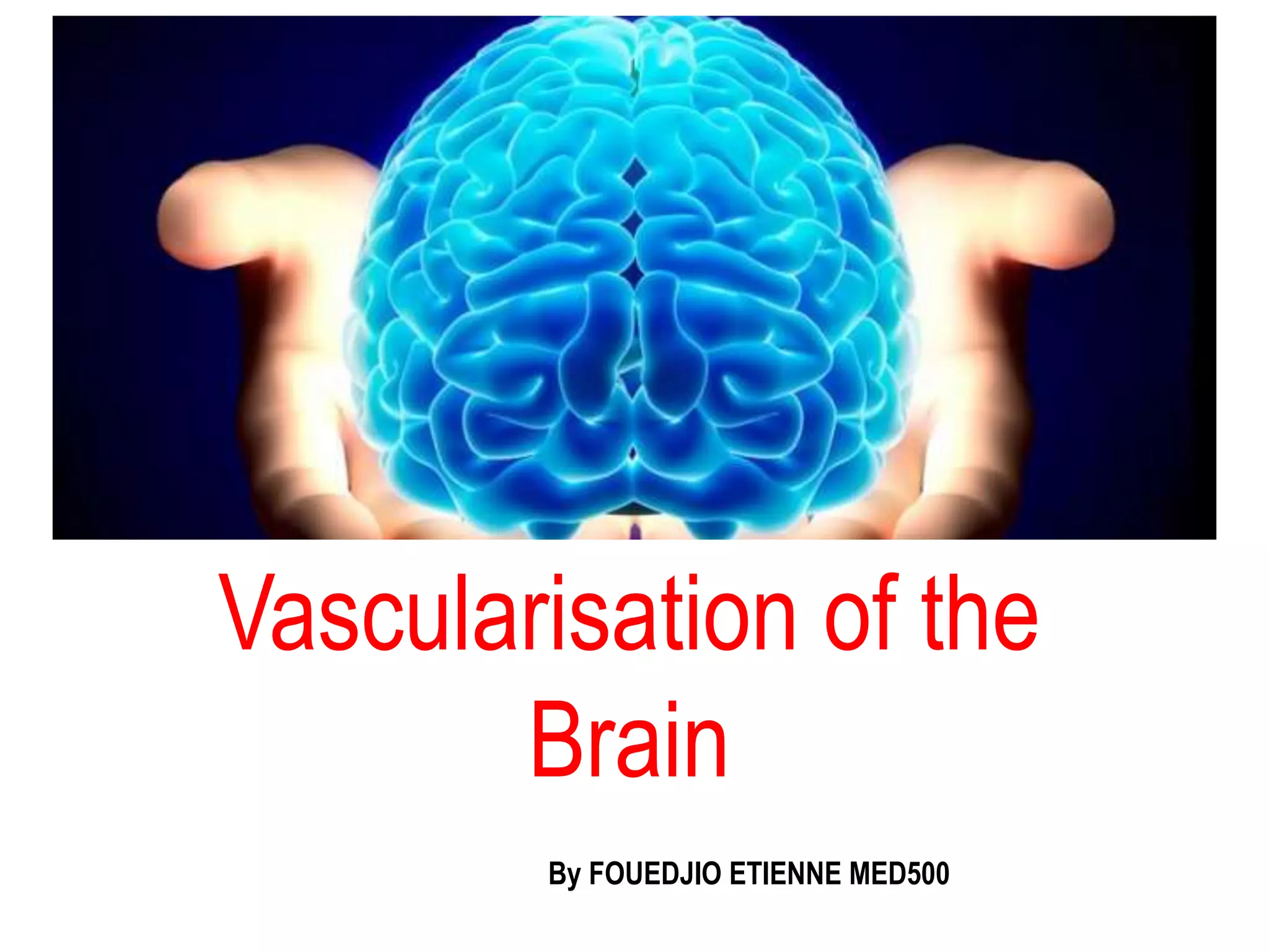 Brain vascularisation | PPTX